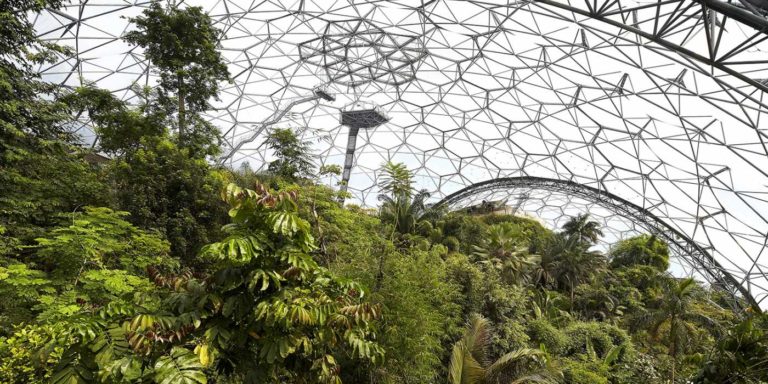 Eden Project – Accommodation Zone